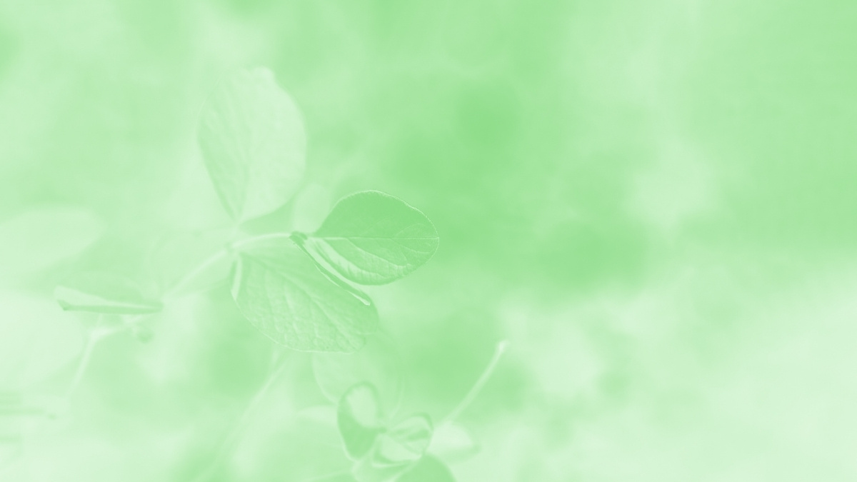 Tải ngay 100+ hình nền PowerPoint màu xanh lá cây nhạt đẹp